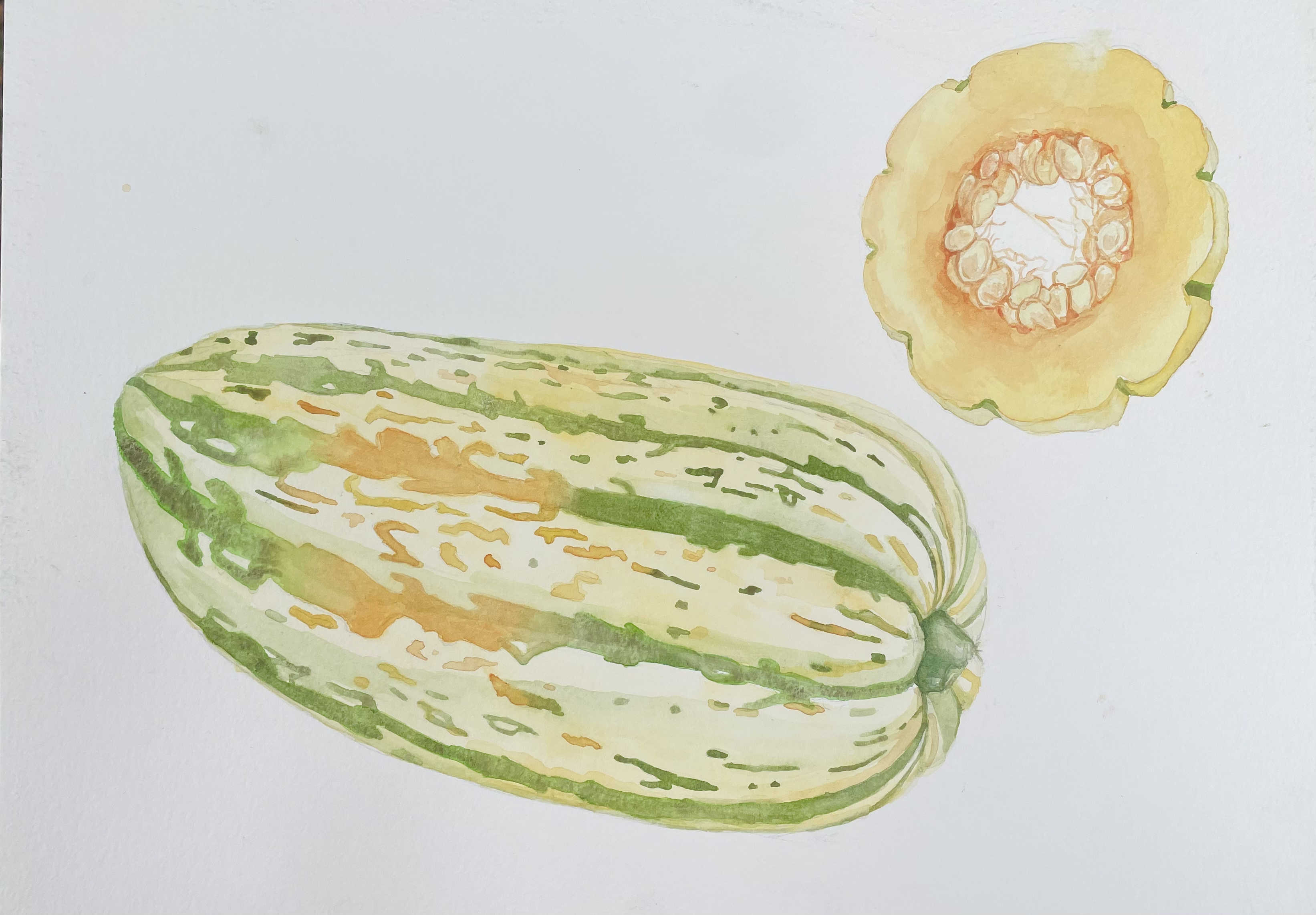 Flora & Fauna - Watercolor Course with Hannah Day at Bohemian Flowers ...